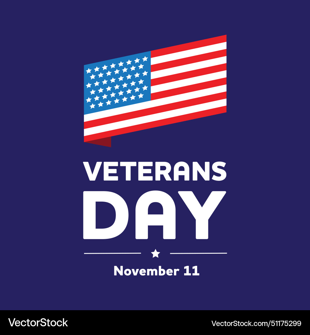 Never forget veterans day usa Royalty Free Vector Image