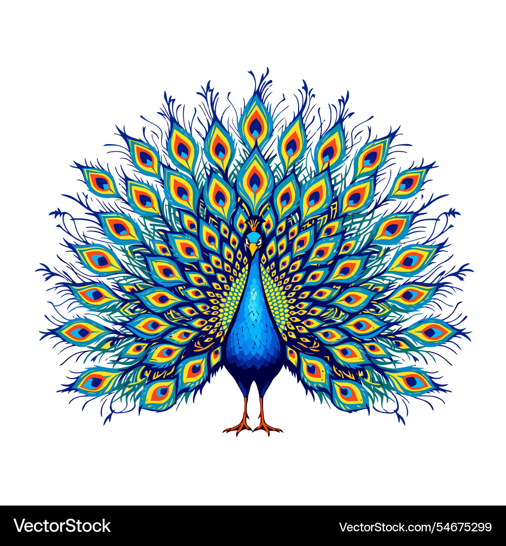 Peacock clipart Royalty Free Vector Image - VectorStock