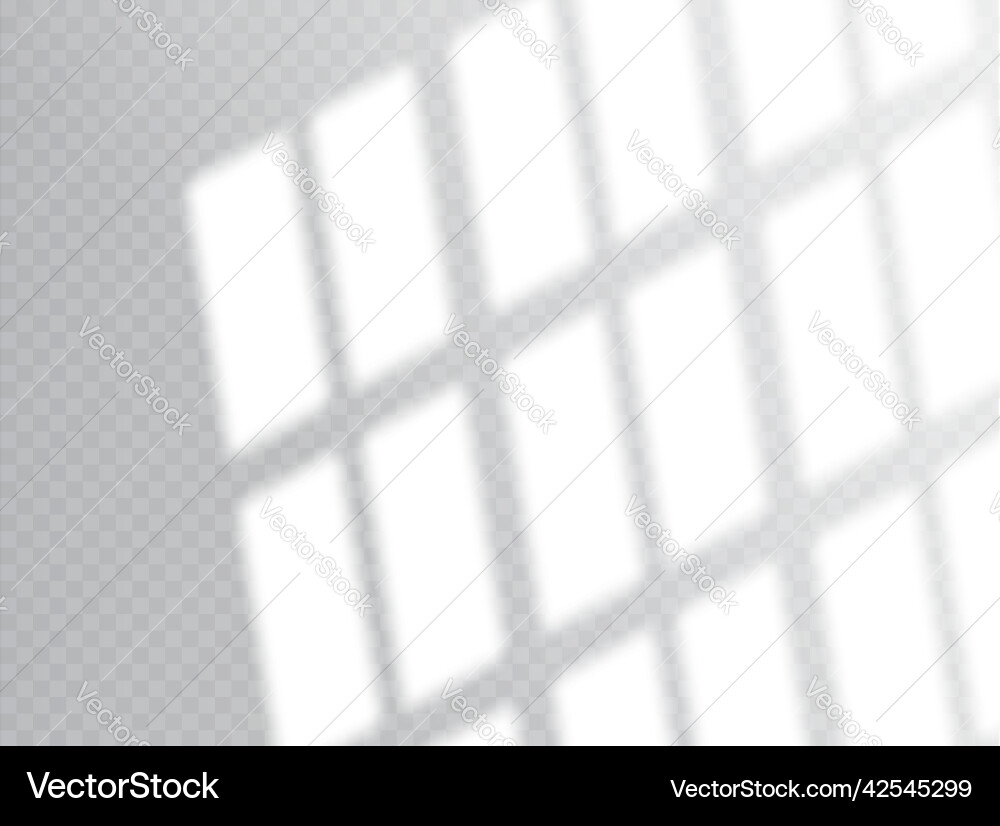 Window light shadow overlay background 3d mockup Vector Image
