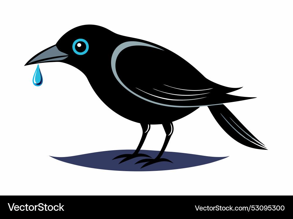 Bird drinking water n Royalty Free Vector Image
