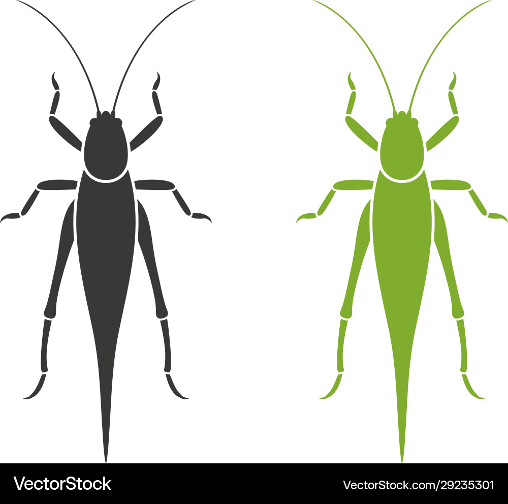 Grasshopper Royalty Free Vector Image - VectorStock