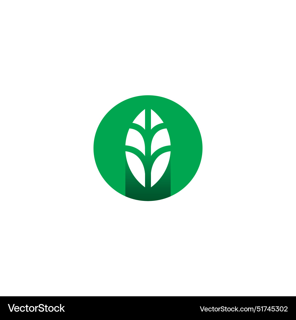 Letter o leaf logo nature organic Royalty Free Vector Image