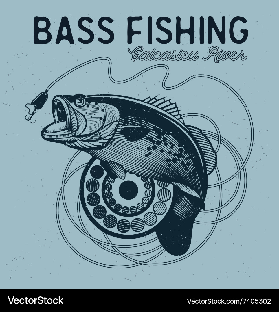 Vintage Bass Fishing Labels & Emblems Vector Image