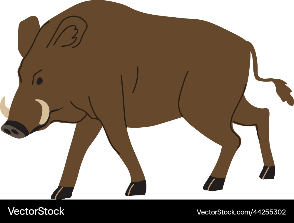 Wild Boar Portrait - Forest Animal Royalty Free Vector Image