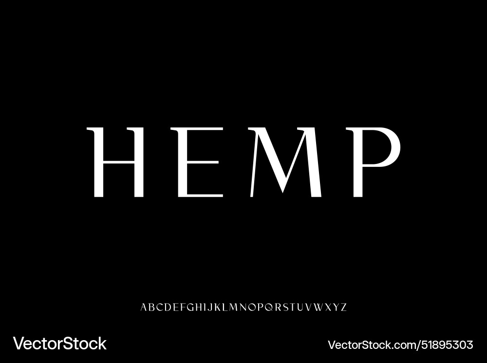 Elegant minimalist alphabet display font Vector Image