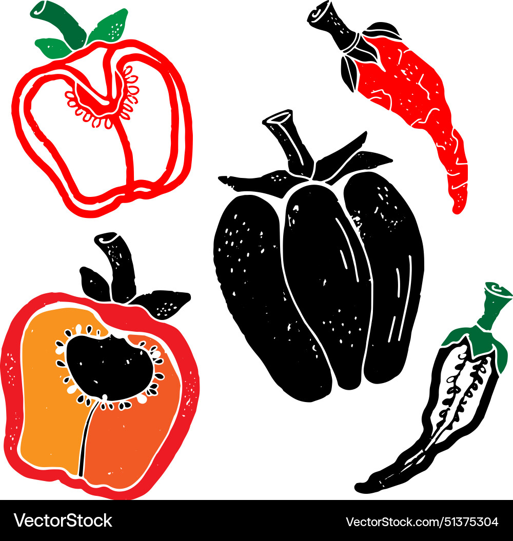 Sweet pepper and chili texture graphic elements Vector Image