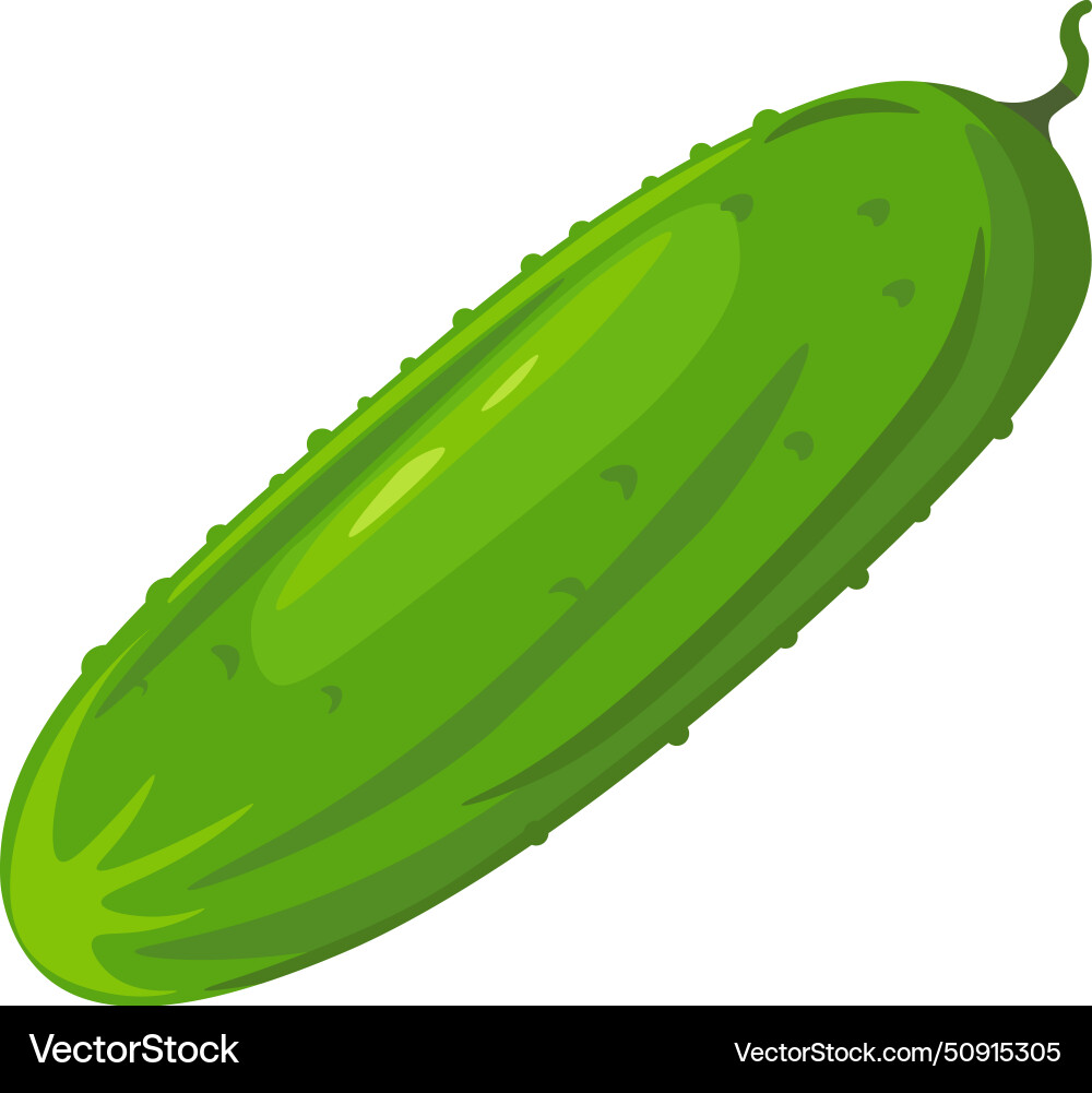 Cucumber healthy vegetables and dieting Royalty Free Vector