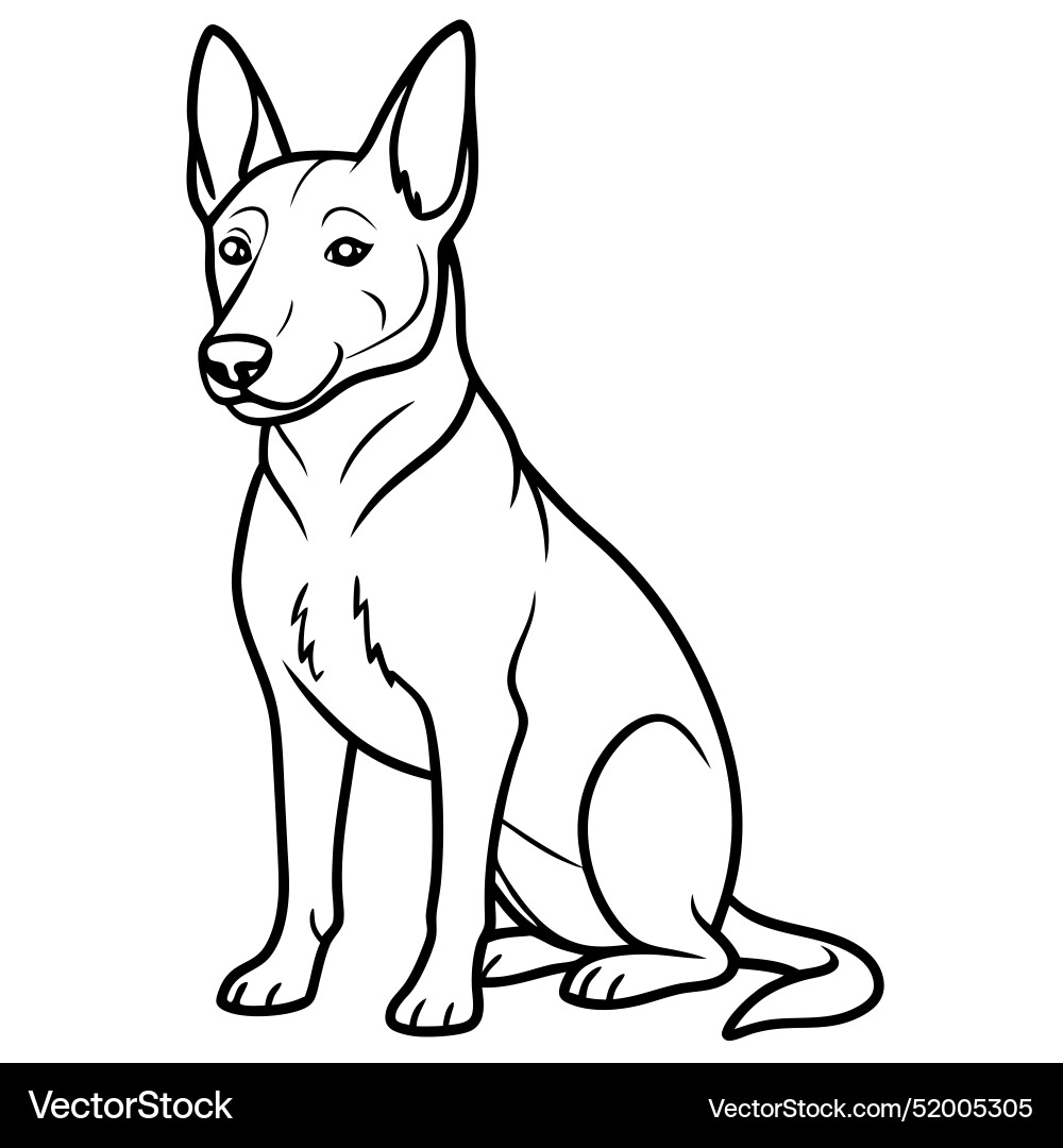 Dutch Shepherd Dog Vector Images (91)