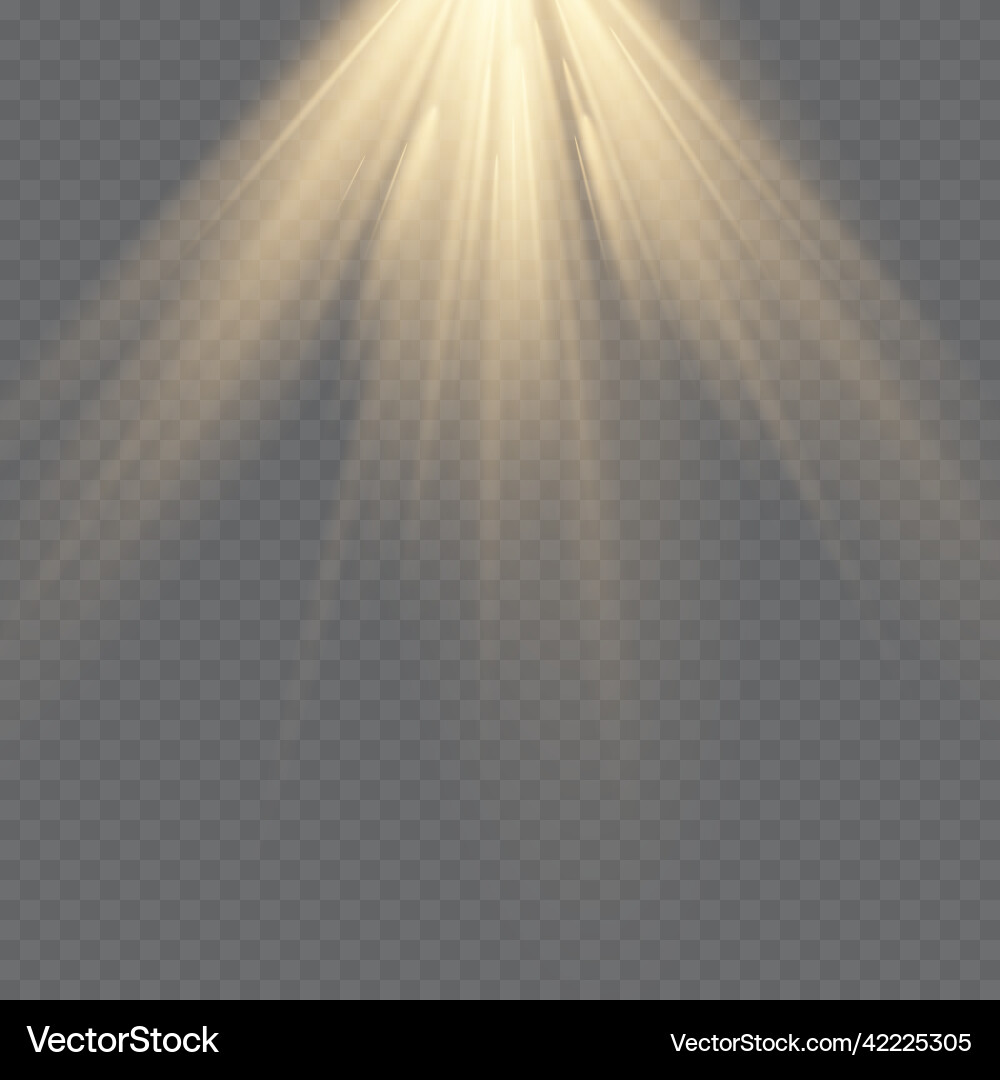 Spotlight light effect transparent Royalty Free Vector Image