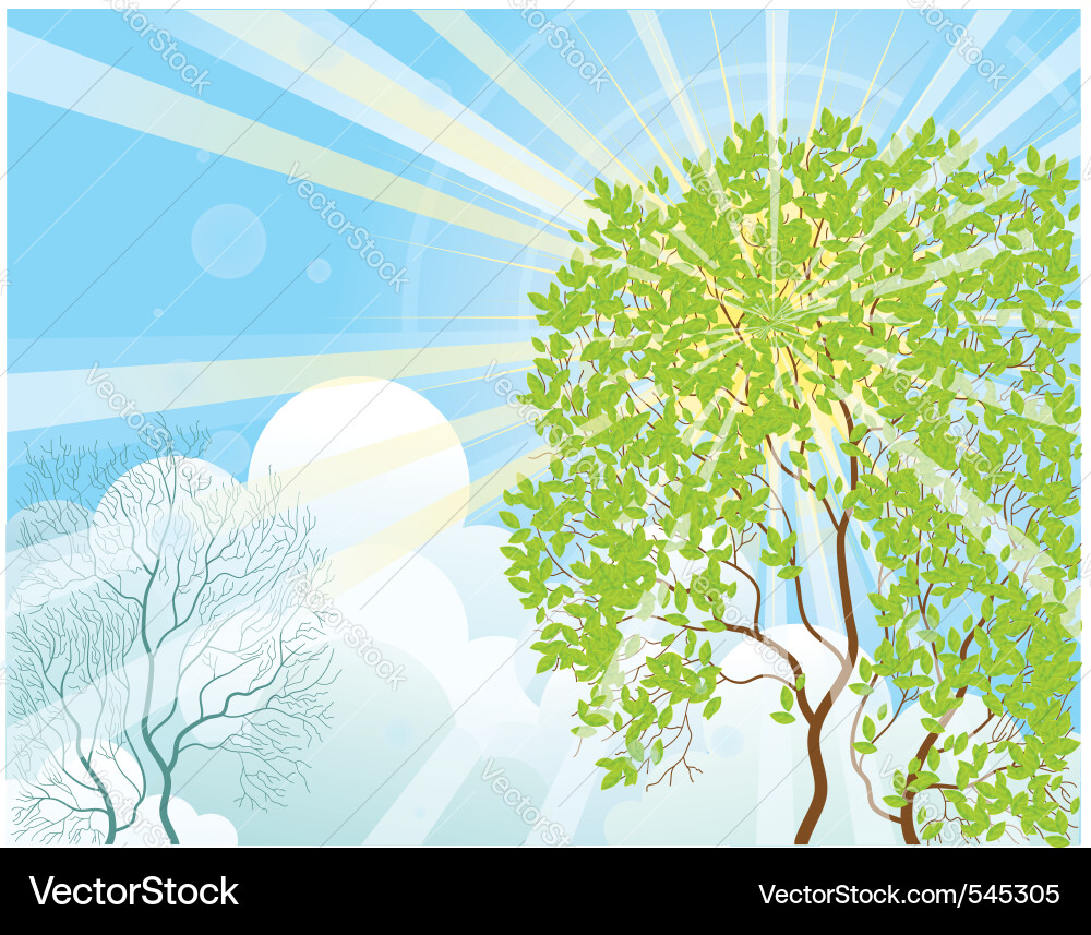 Sun rays Royalty Free Vector Image - VectorStock