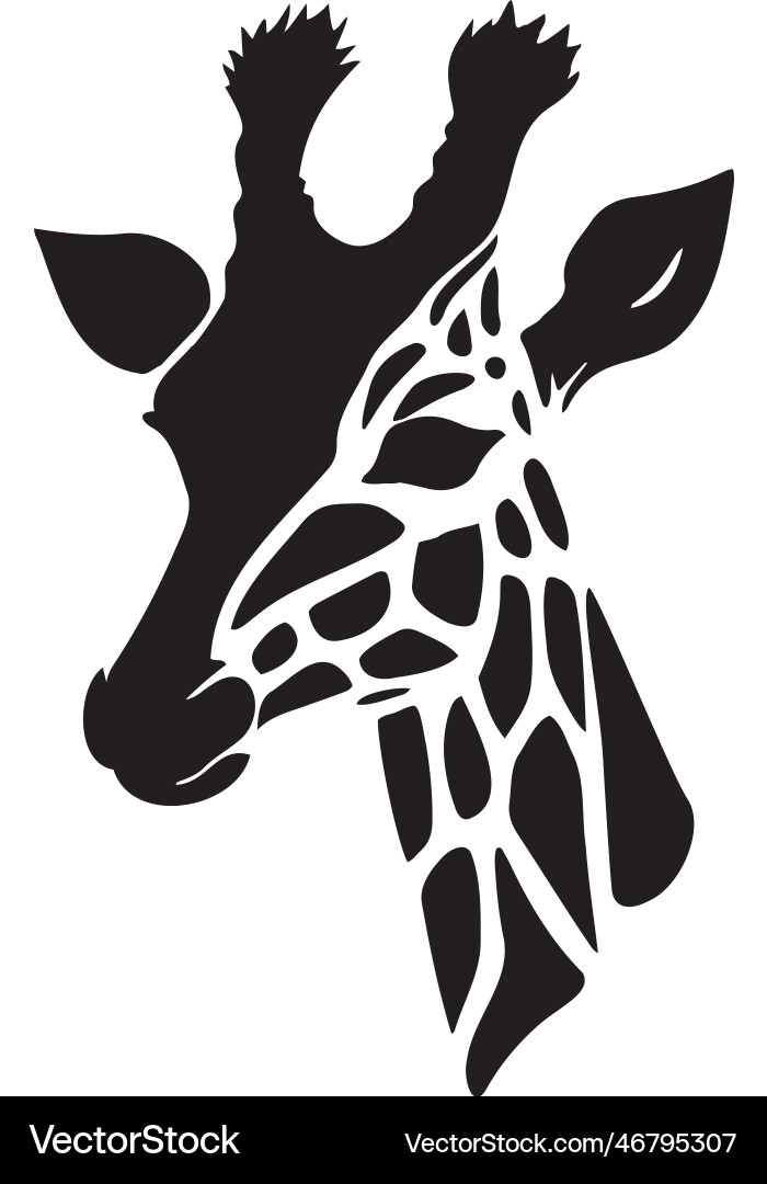 Giraffe head silhouette on a white background Vector Image