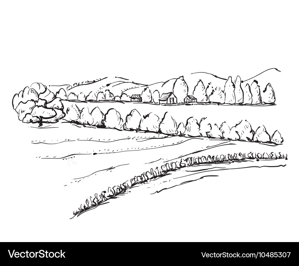 Hand drawn field sketch Royalty Free Vector Image