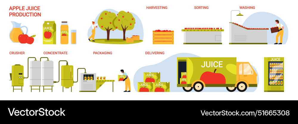 Apple juice production process in factory Vector Image