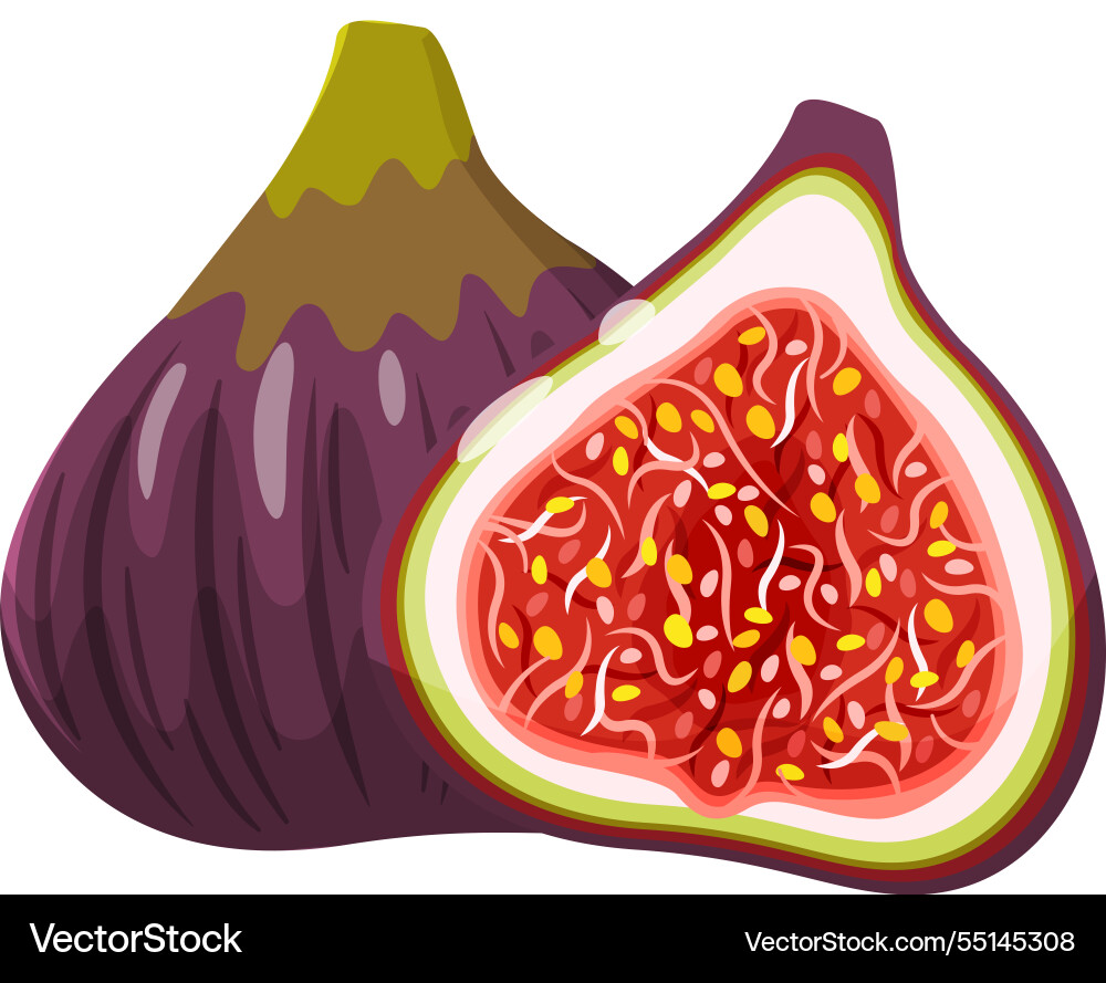 Cartoon featuring a whole fresh fig Royalty Free Vector