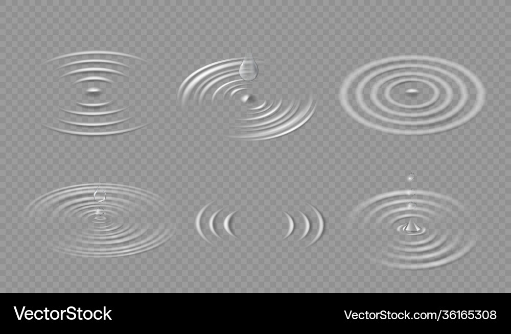 Drops and ripples circular wave on water surface Vector Image