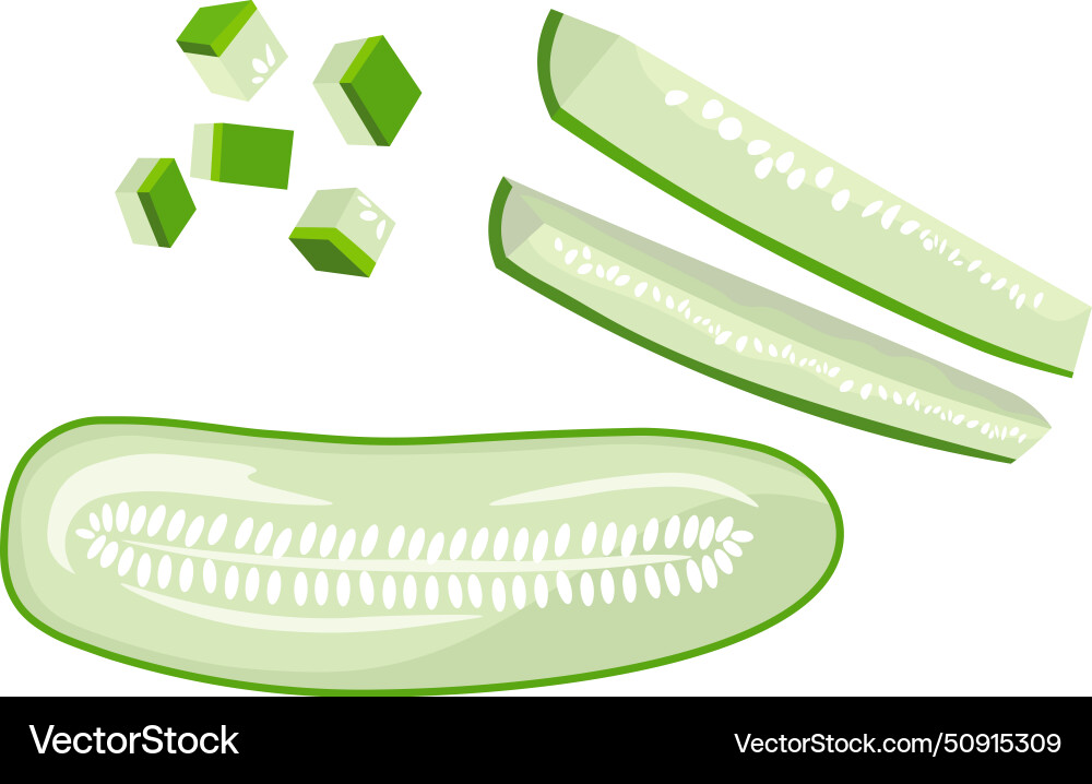 Chopped cucumber into pieces salad making Vector Image