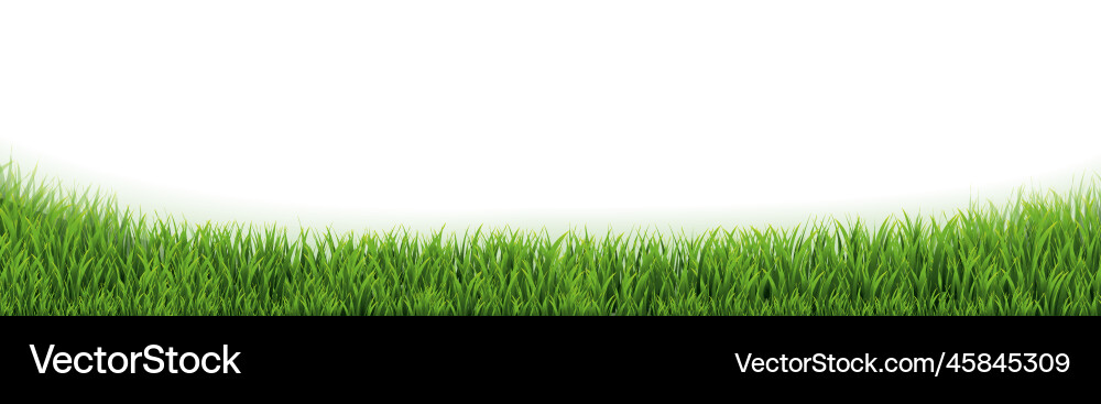 Grass Royalty Free Vector Image - VectorStock