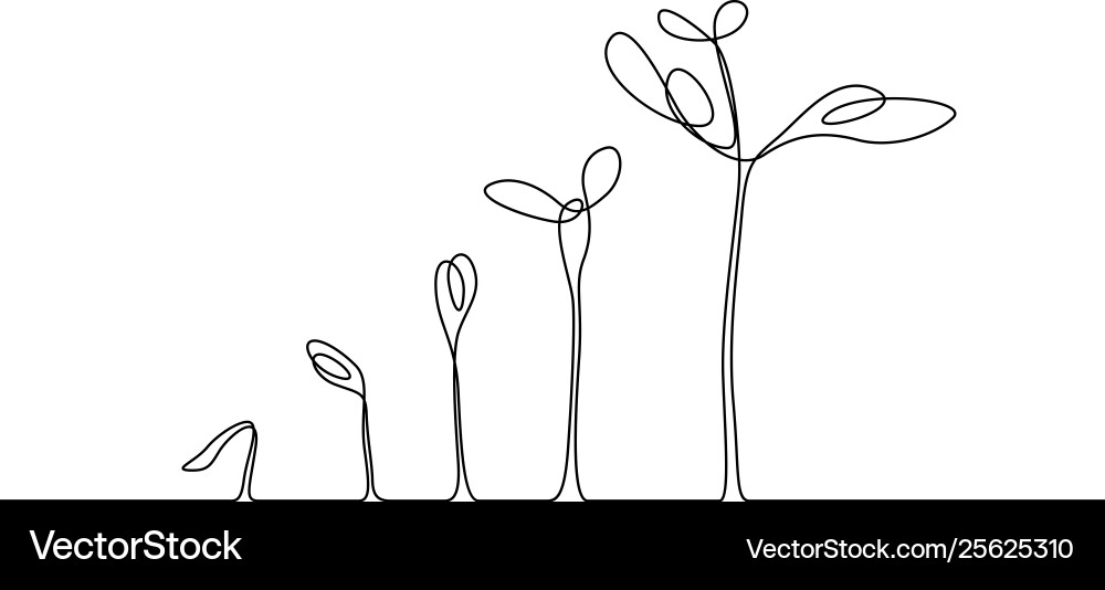 Continuous one line drawing plant growth process Vector Image