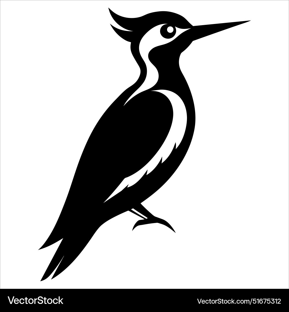 A realistic woodpecker bird logo icon Royalty Free Vector