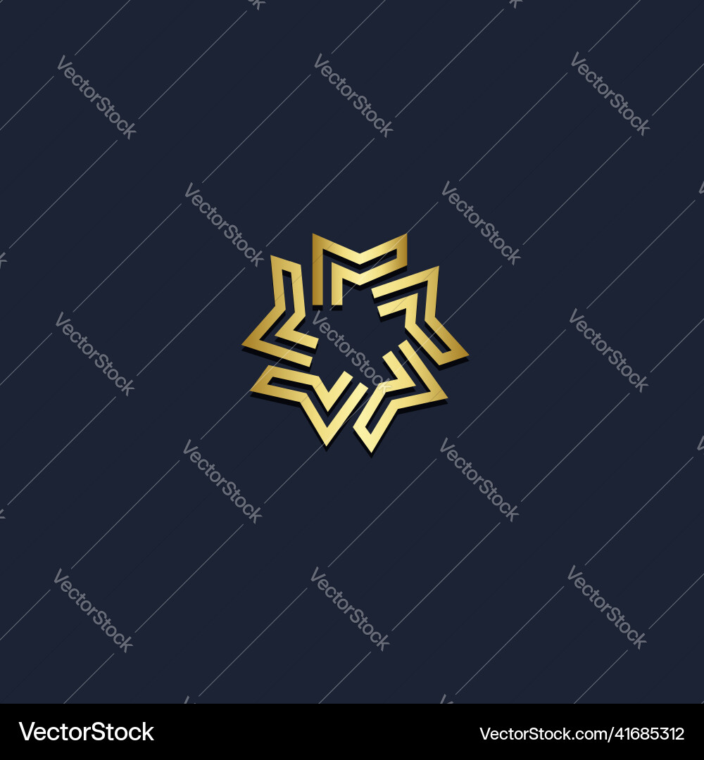 Circle shape line star gold logo Royalty Free Vector Image