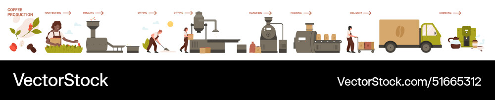 Coffee Production Process Royalty Free Vector Image