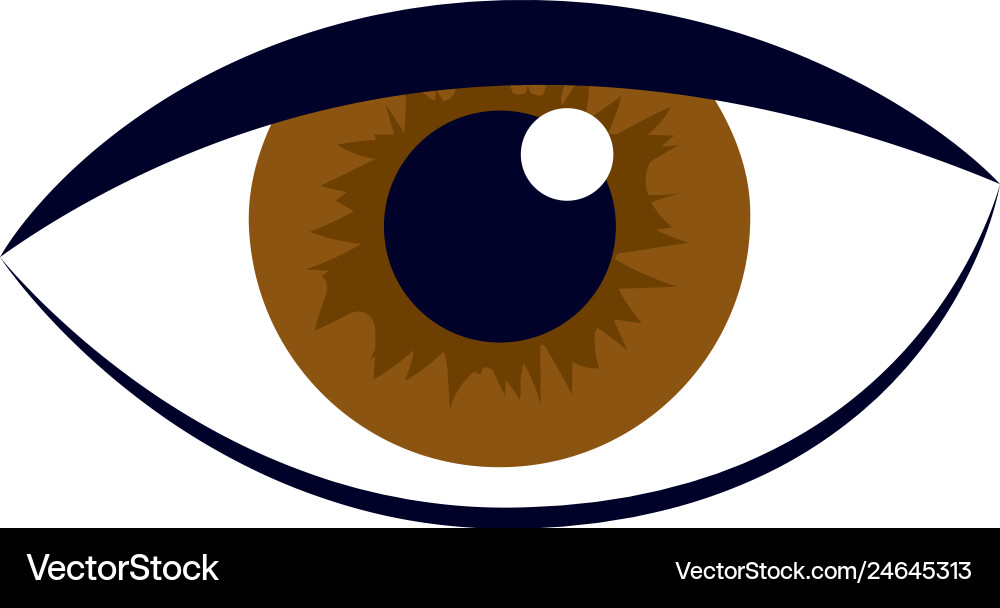 Cartoon Human Eye Human Eyes Vector Images | Depositphotos