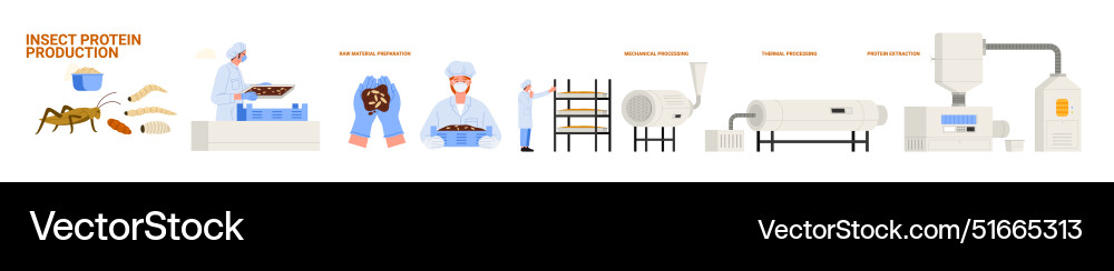 Insect and bug alternative protein food Royalty Free Vector