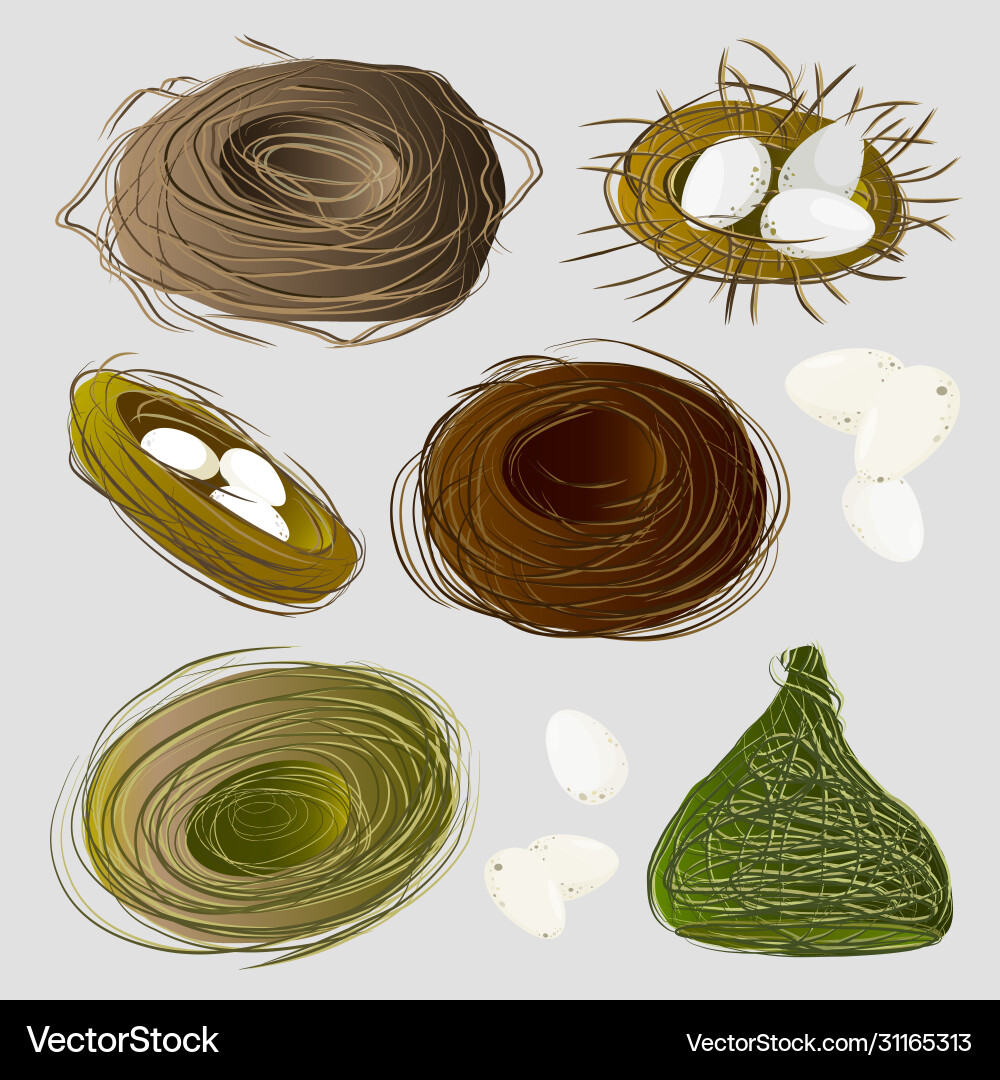 Nest set and hatching chicken Royalty Free Vector Image