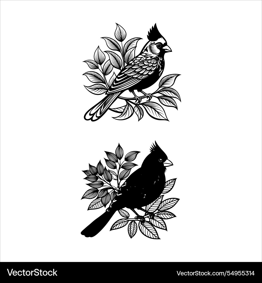 Cardinal on Branch Royalty Free Vector Image - VectorStock