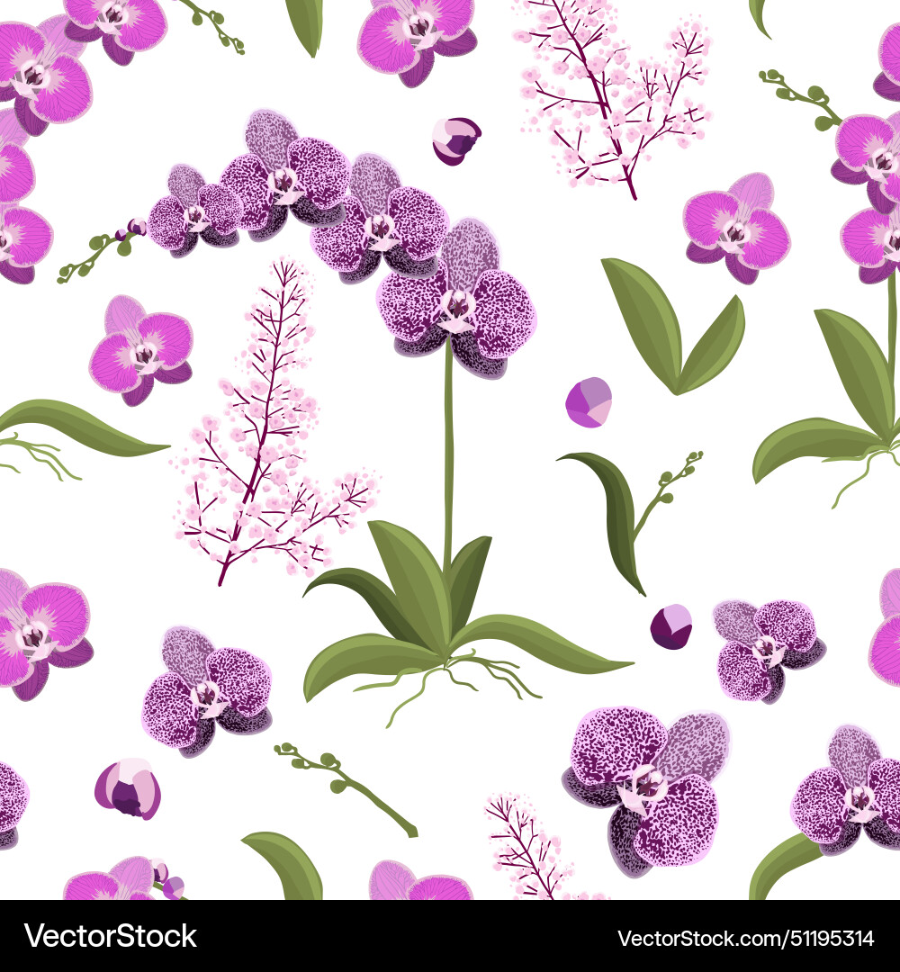 Orchid seamless pattern hand drawing not ai Vector Image