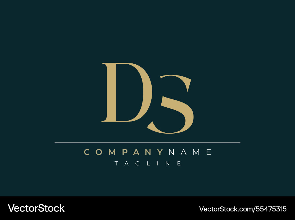 Ds abstract logo design Royalty Free Vector Image