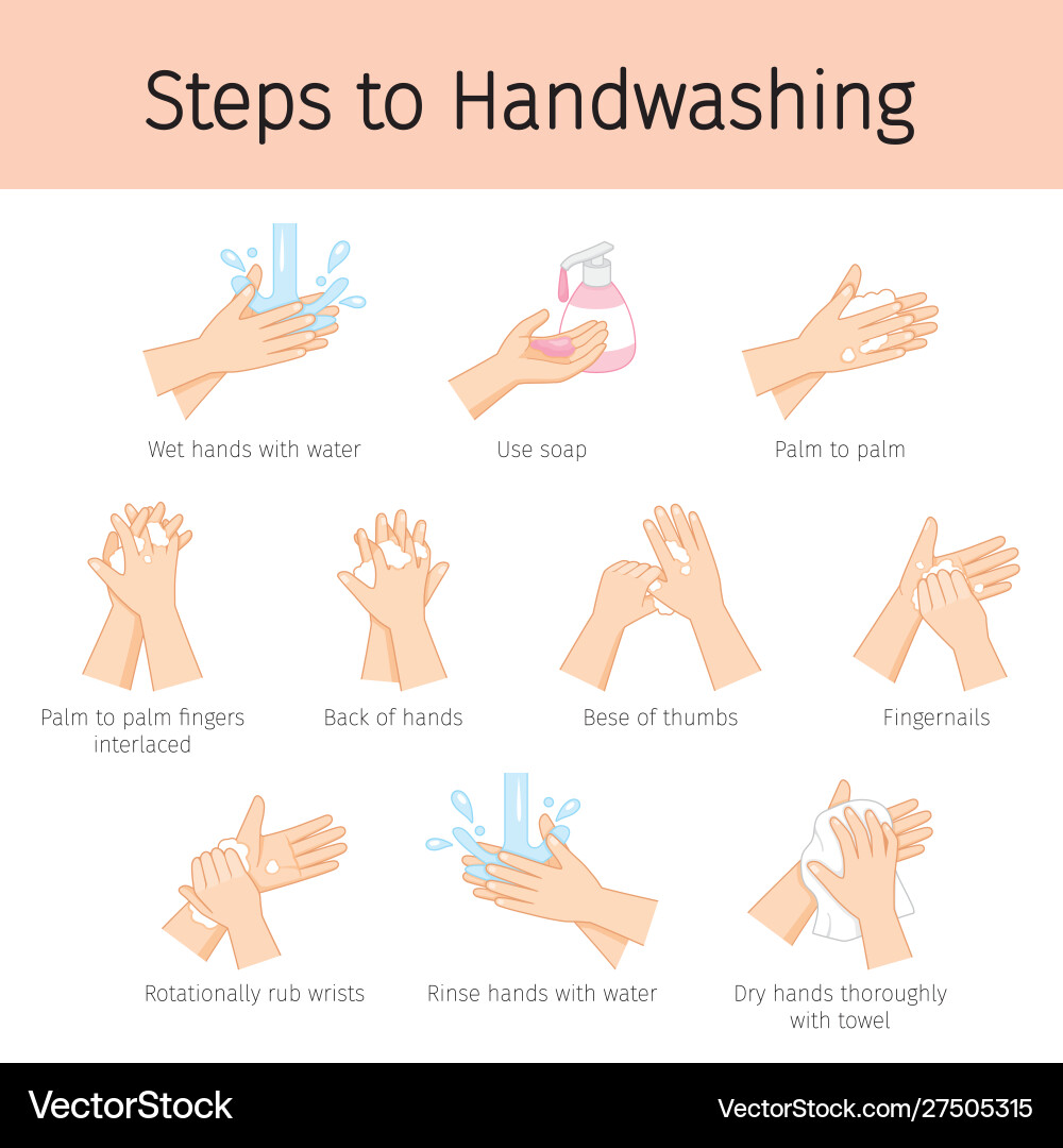 Hand Washing Steps for Health Royalty Free Vector Image