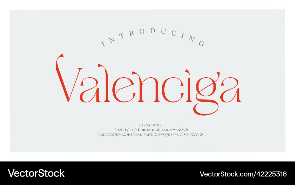 Luxury alphabet letters font typography elegant Vector Image