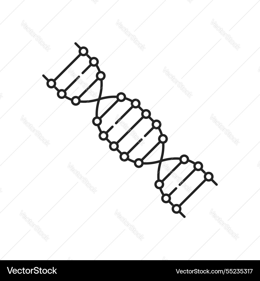 Black thin line simple dna sequencing icon Vector Image