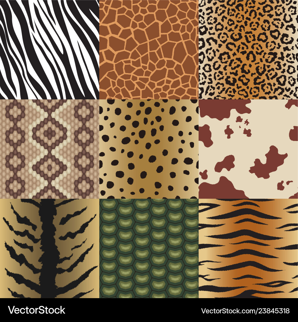 Seamless animal skin patterns set safari textile Vector Image