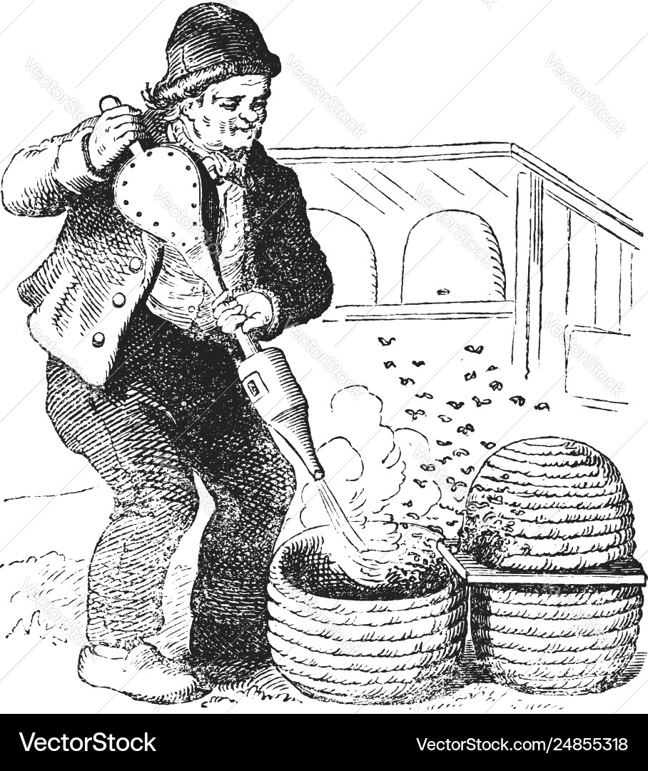 Skep Vector Images (37)