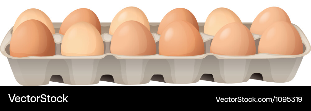 Eggs Royalty Free Vector Image - VectorStock