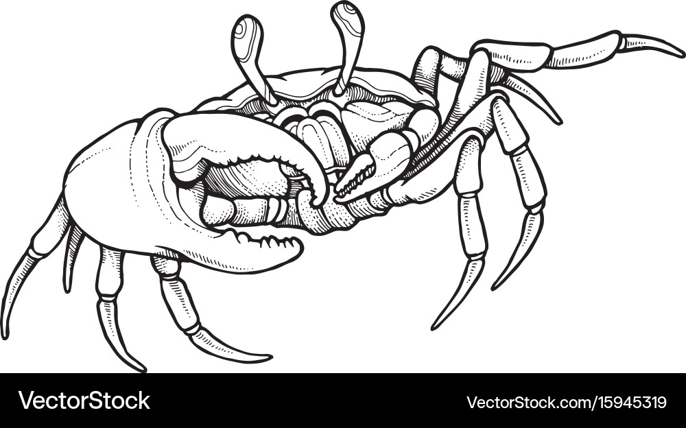 Hand drawn line art crab Royalty Free Vector Image