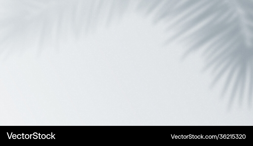 Realistic tropical shadow overlay effect Vector Image