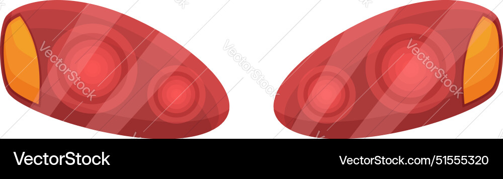 Red car taillights illuminating the night Vector Image