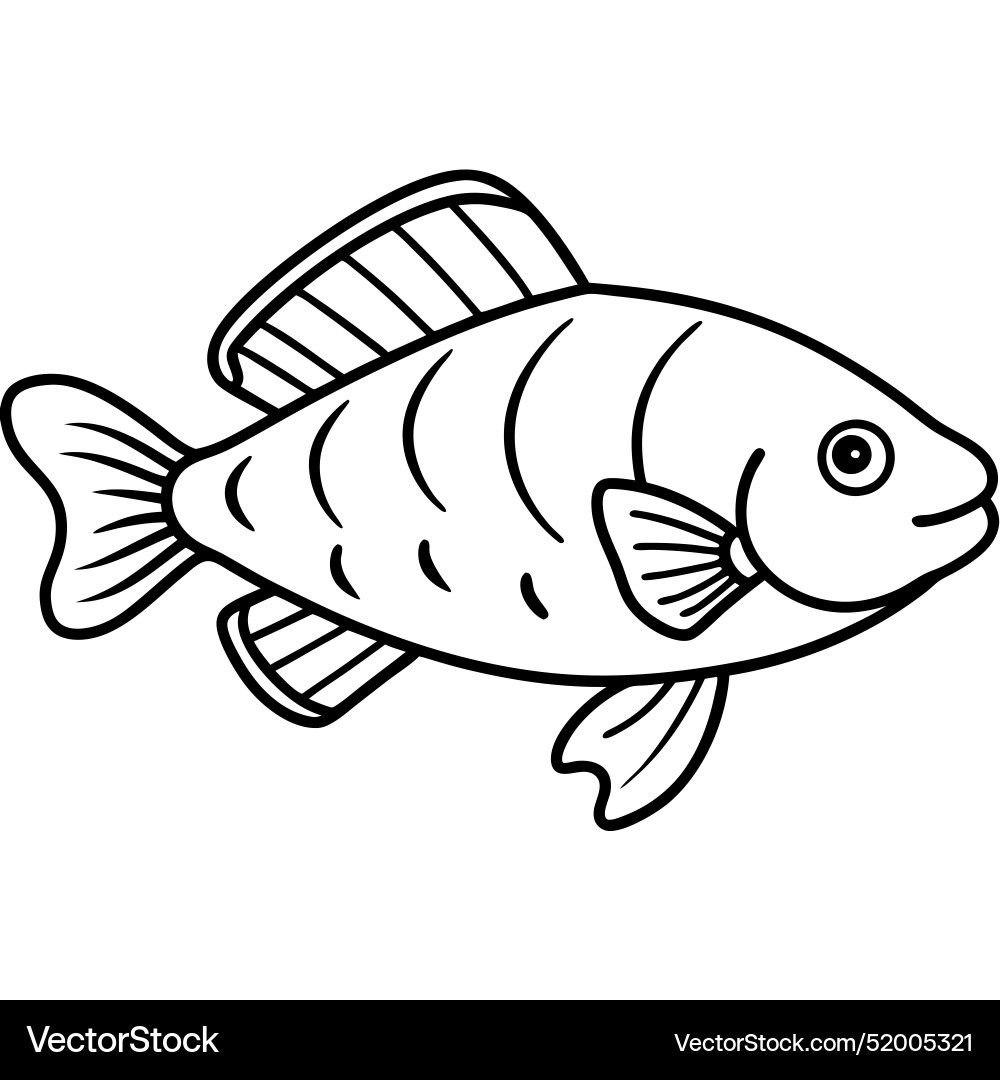 Dwarf gourami fish lies icon Royalty Free Vector Image Dwarf gourami fish lies icon Royalty Free Vector Image