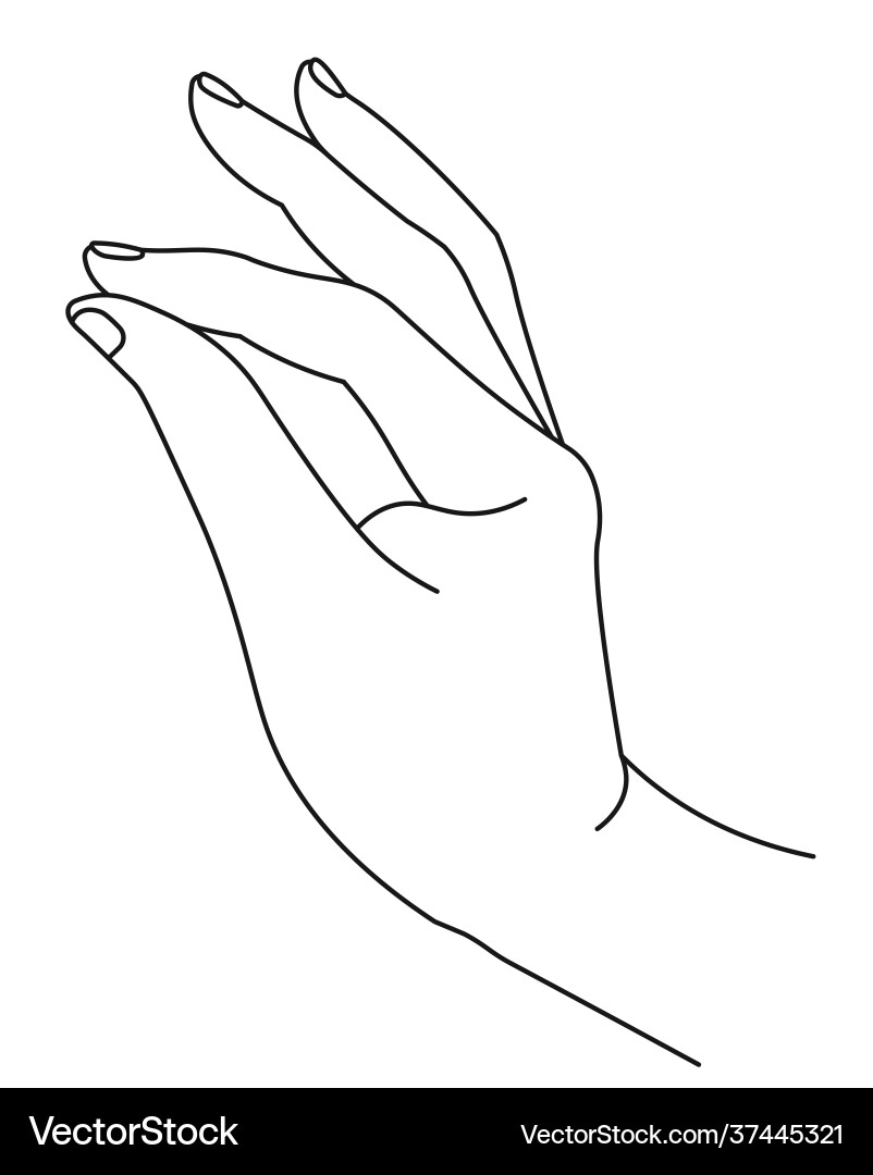 Elegant hand with thumb and index finger clasping Vector Image