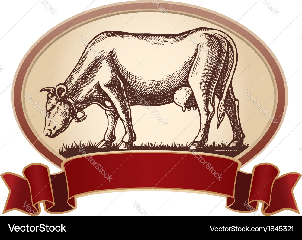 Graphical cow Royalty Free Vector Image - VectorStock