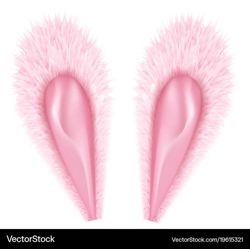 Realistic rabbit bunny easter ears Royalty Free Vector Image