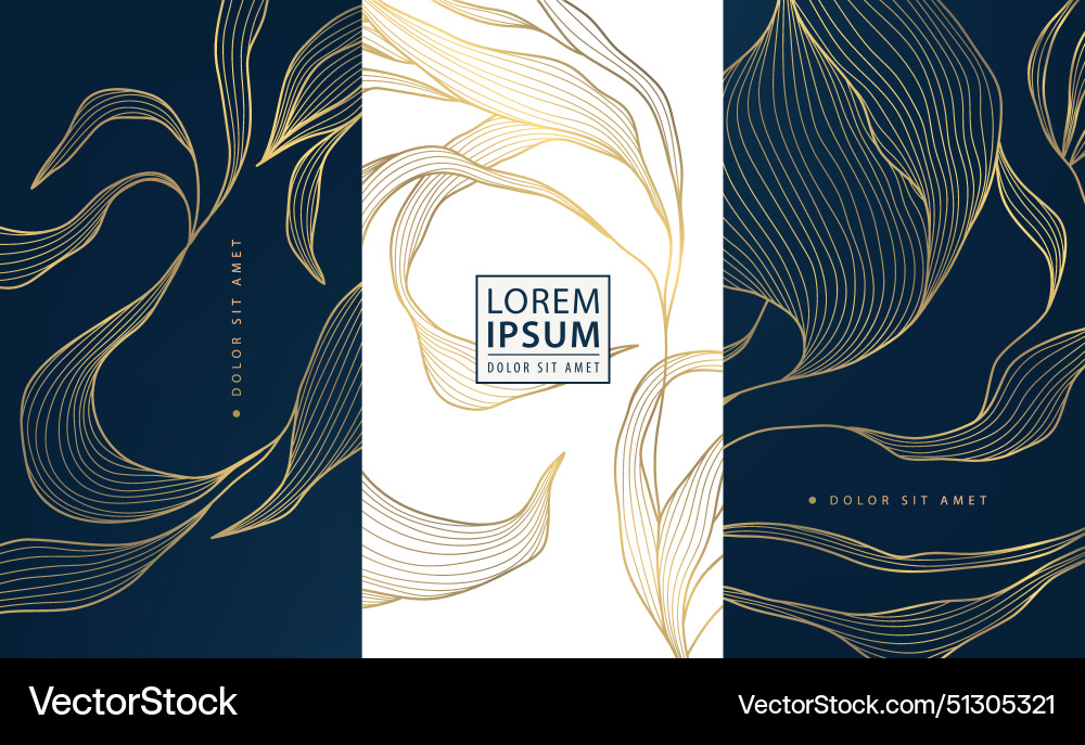 Set of floral background label box leaf Royalty Free Vector