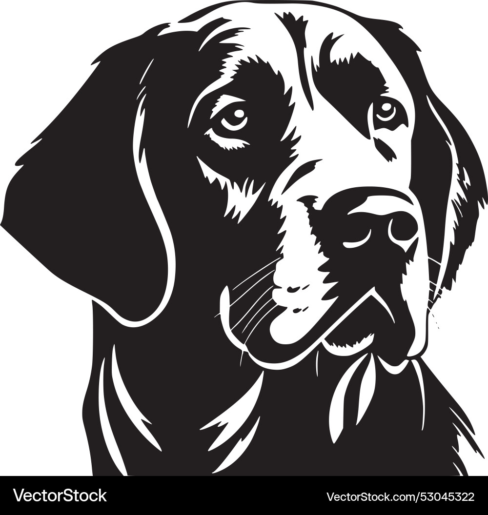 Labrador retriever - minimalist and flat logo Vector Image