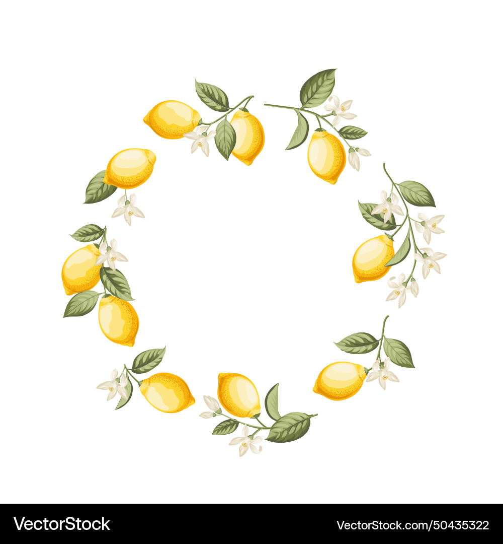 Lemon frame hand-drawn citrus Royalty Free Vector Image