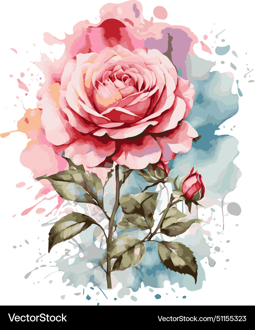 A watercolor rose painting Royalty Free Vector Image