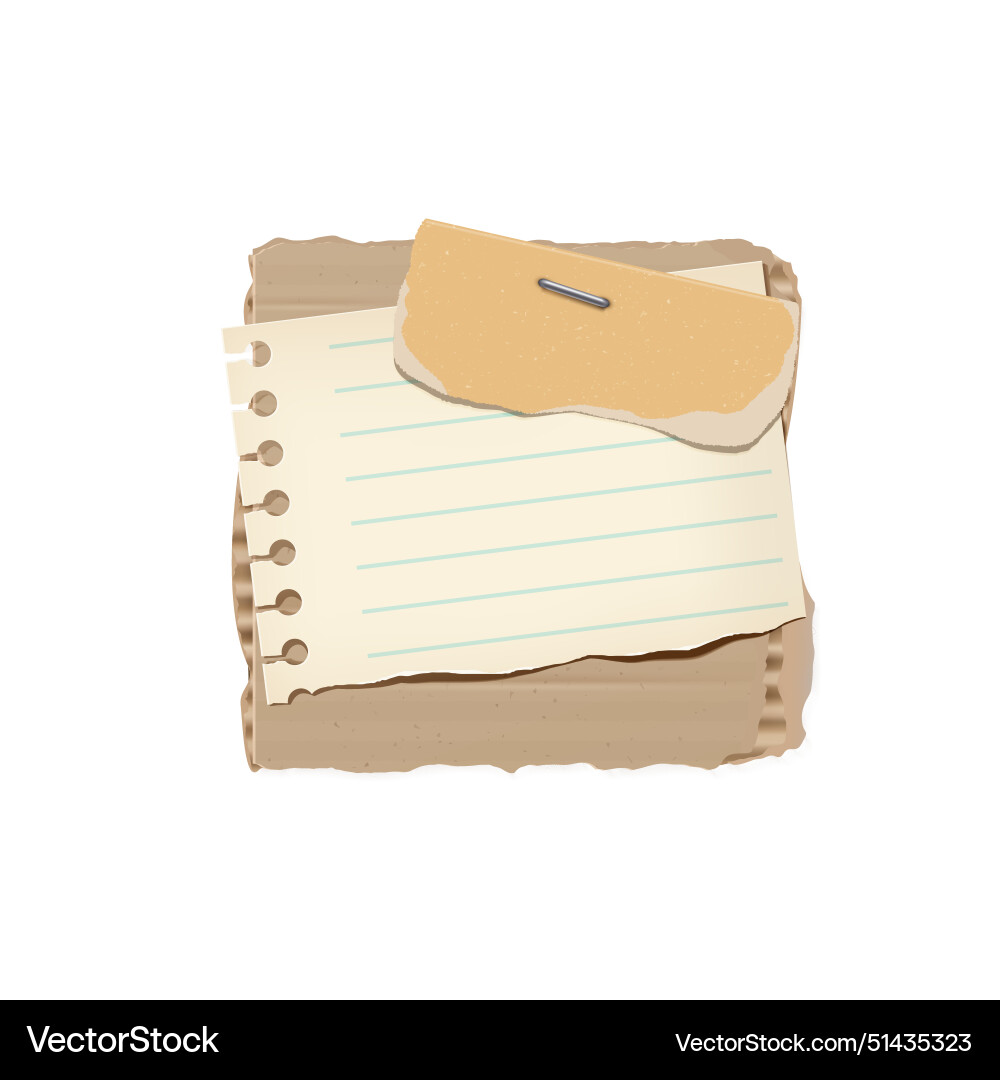 Cardboard and torn brown paper Royalty Free Vector Image