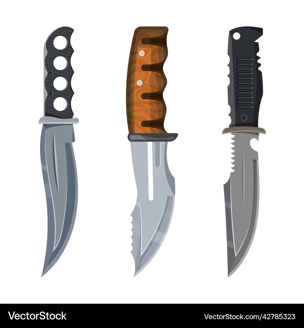 Knife combat daggers and military blade weapons Vector Image